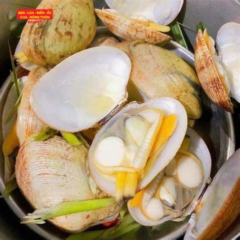SÒ TỘ HẤp SẢ BỔ DƯỠng Cho NgÀy MƯa HẢi SẢn Ngon Lua Dai Viet Restaurant