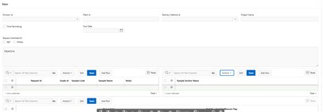 Is It Possible To Create A Custom Plsql Page Process To Insert Data