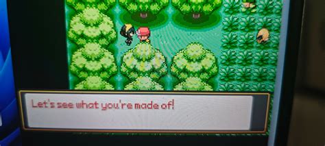 Why Is The Pokemon Amorous Theme Gone Adult Gaming Loverslab