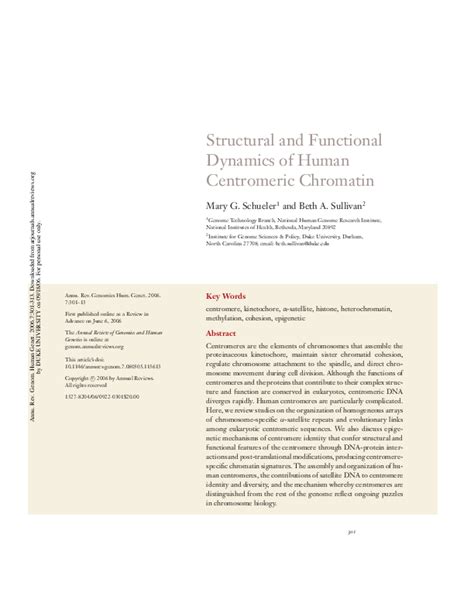 Pdf Structural And Functional Dynamics Of Human Centromeric Chromatin