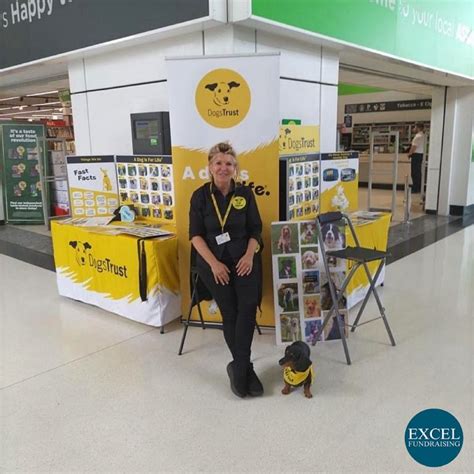 excel fundraising ltd on linkedin excelfundraising hiring jointheteam charity fundraisers