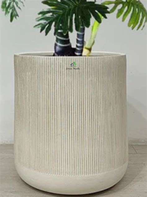 Elegant Beige Desert Chic Planters Xl To M Sizes For Luxe Uae Homes Green Hands