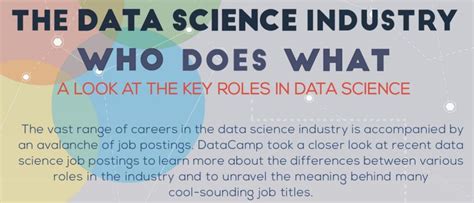 Anand Kaliappan On Linkedin Important Job Roles In Data Science Industry Today Who Does What