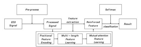 Figure 1 From Positional Multi Length And Mutual Attention Network For Epileptic Seizure
