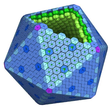 Bacterial Microcompartments Mcpdb