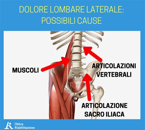 Dolore Alla Schiena Sul Lato Destro O Sinistro Da Dove Viene E Cosa Fare Artofit