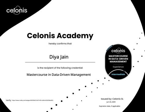 Celonis Processmining Pql Dataanalysis Digitaltransformation