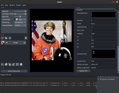 Unable To Visualize Qboxlayout Nor Qtable · Issue 12 · Pyapp Kitmagicgui · Github