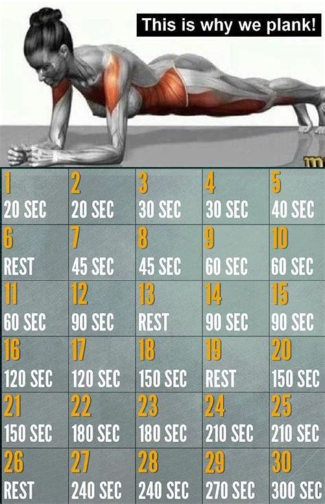 Plank Exercise Quotes Quotesgram