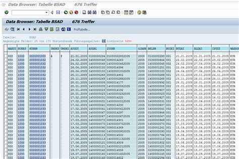 Se16 Displaying The Field Name Or The Field Label
