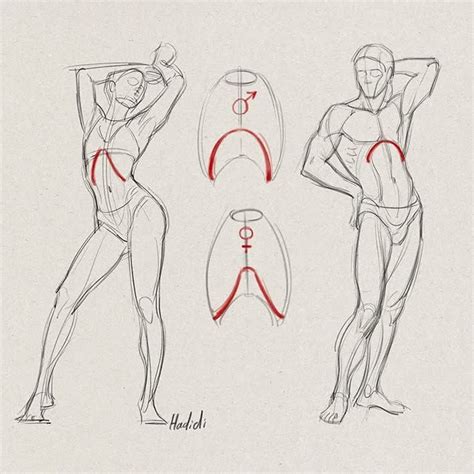 Female Anatomy Drawing