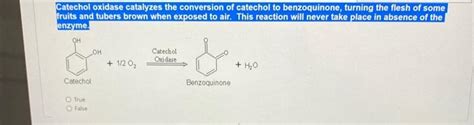 Solved Catechol Oxidase Catalyzes The Conversion Of Catechol