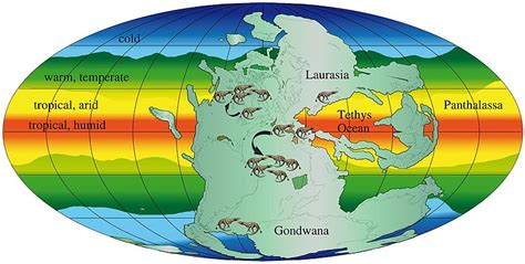 What Time Period Was Pangea