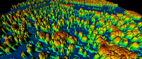 Canopy Height Model Mapping Xeos Imagerie