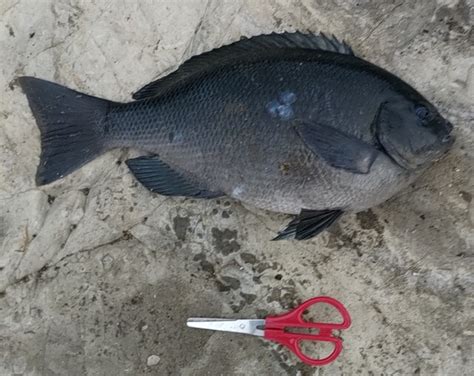 2 16 大畑崎 毘沙門と福浦2