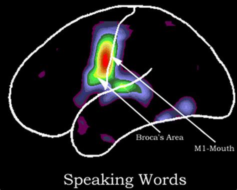 Inner Speech The Sound In Your Mind SiOWfa15 Science In Our World Certainty And Controversy