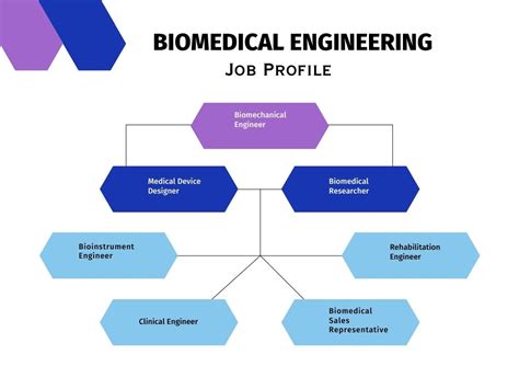 Entry Level Biomedical Engineering Jobs