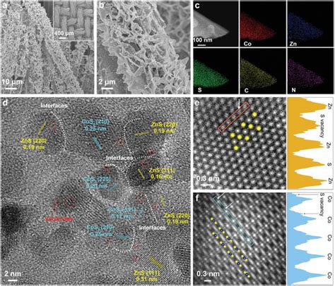 Structural Characterization Of Cozn‐s Nanosheet Arrays Ab Fesem Download Scientific Diagram