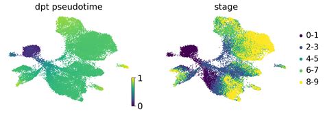 Diffusion Pseudotime — Cellrank 2 Reproducibility