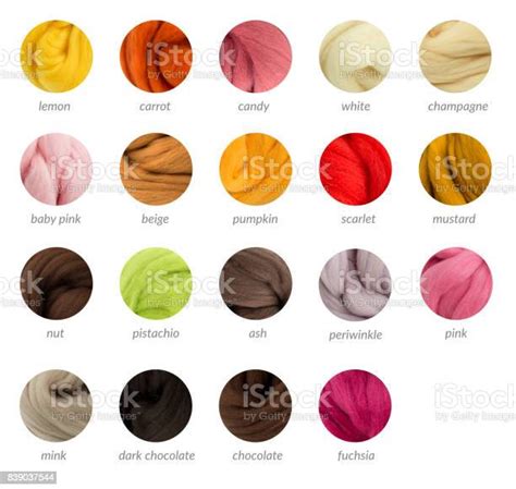 따뜻한 색상 메리 노 양모 팔레트 가이드 제목 라운드 흰색 배경 샘플 0명에 대한 스톡 사진 및 기타 이미지 0명 Mink