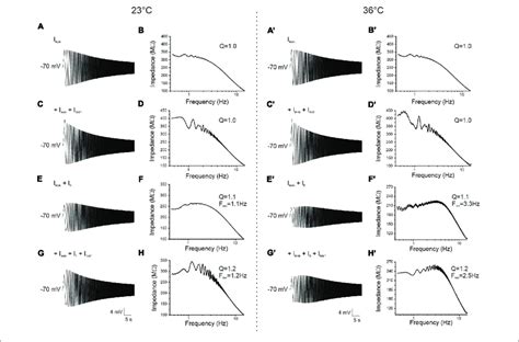 Computational Matlab Model Reflecting Experimental Data And