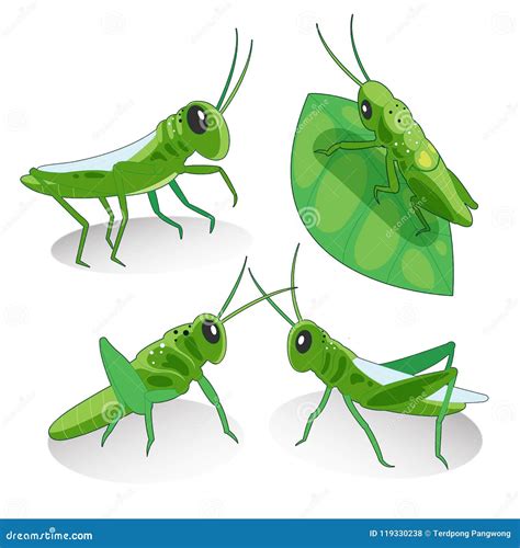 Grasshopper Vector Clip Art 3279391