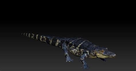 Dinosaur Battlegrounds Creature Feature 5