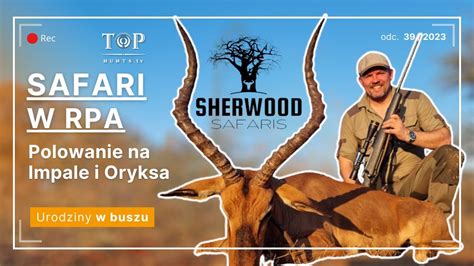 Polowanie W Afryce Południowej Cz1 Impale Oryks Youtube