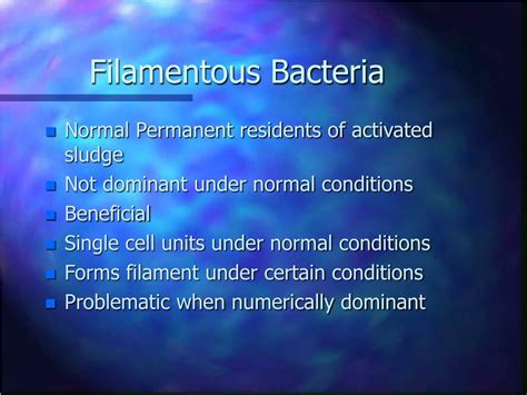 Ppt Identification Of Filamentous Bacteria Powerpoint Presentation Free Download Id 1375347