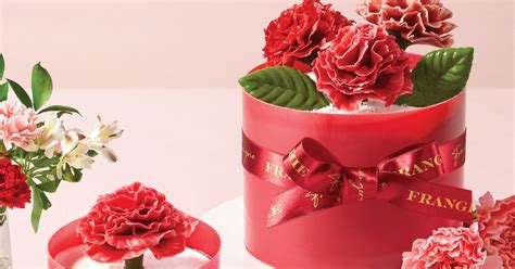 이랜드 프랑제리 가정의 달 맞아 카네이션 케이크 출시 이랜드 프랑제리 가정의 달 맞아 카네이션 케이크 출시