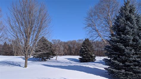 The Surprising Impacts Of A Mild Winter On The Outdoors And Environment