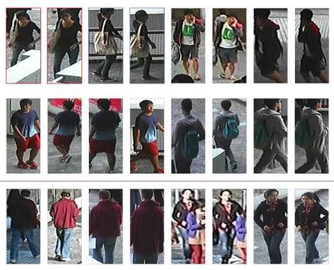 Object Re Identification Based On Deep Learning Intechopen