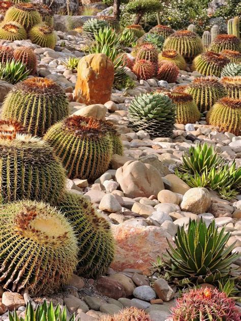 아일랜드 2024 인기 명소 아일랜드 트립 가이드 아일랜드 인기 명소 입장권 추천 호텔 가 볼 만한 곳 식사 맛집 트립닷컴