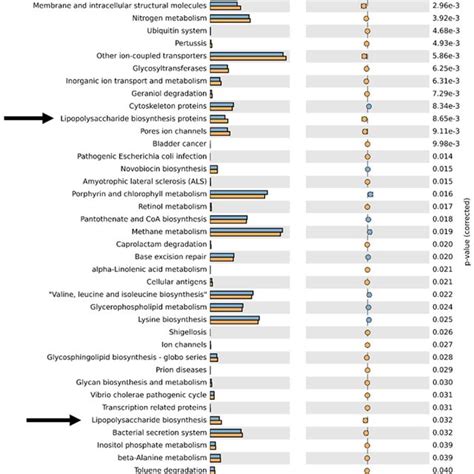 Picrust Analysis In The Kegg Pathways Functional Predictions For The