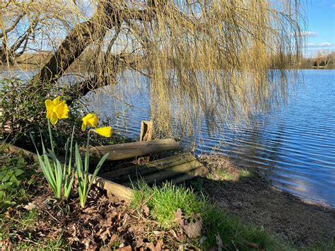 Orchid Lakes Fishing Location In Oxfordshire Details Species And More
