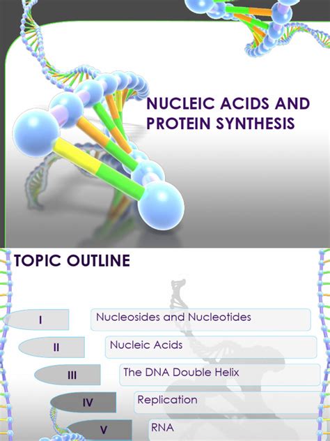 Chapter 5 Nucleic Acids And Protein Synthesis Pdf Translation