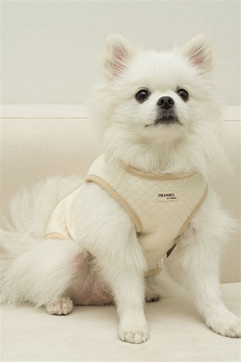 오가닉 누빔조끼 등단추형 S 4xl