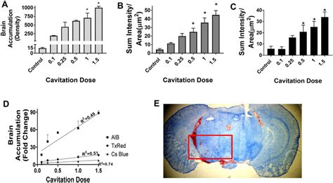 Dose Of Cavitation Affects Tracer Accumulation In A Dose Dependent And