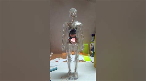 Music Hiphop Rap Love Pythonic Musicgenre Edit Funny Pythan