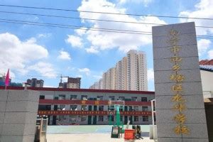 2022年华东师范大学附属深圳龙华学校招生录取方案