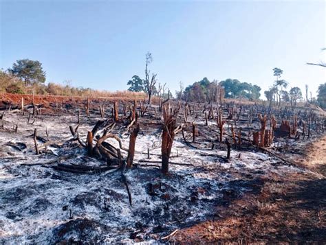 မိုးနဲမြို့နယ်၌ မီးခိုးမြူငွေ့ဖြစ်ပေါ်မှုအား တားဆီးကာကွယ်ရန် အသိပညာပေးခြင်း ကွင်းဆင်းဆောင်ရွက