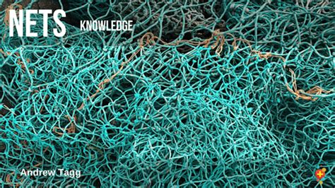 NETS Knowledge