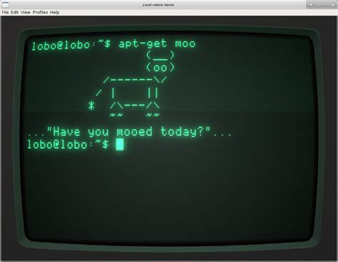 Cool Retro Term Um Terminal Retro Pra O Seu Debian E Ubuntu