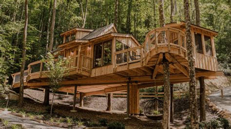 Stay Nelson Treehouse