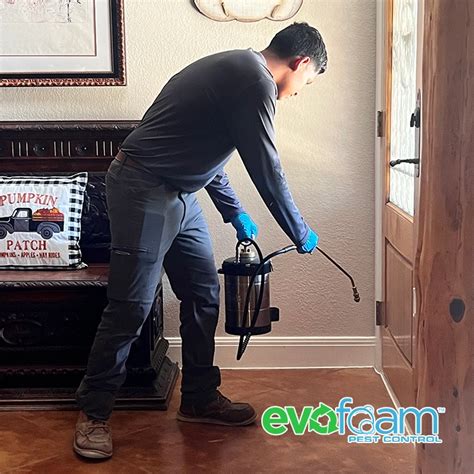 Cockroach Control Evofoam Pest Control