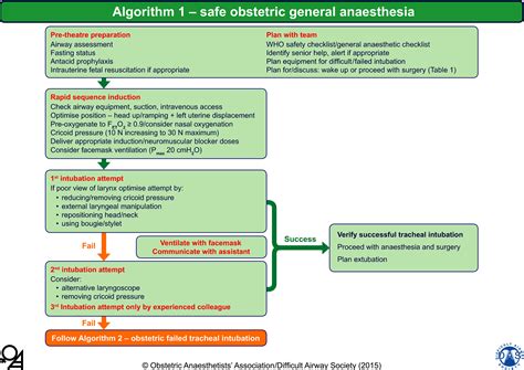 Obstetric Anaesthetists Association And Difficult Airway Society Guidelines For The Management