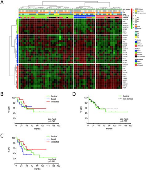 A Mibc Subtype Classification Of The Mda Cohort N 58 By Gene Download Scientific Diagram