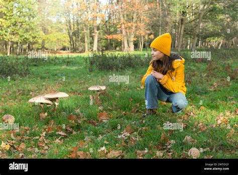 Finding Huge Mushrooms Parasol Mushroom Macrolepiota Procera A Teenage Girl Is Surprised To