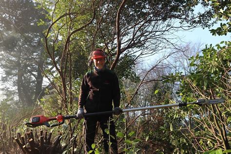 How To Maintain Your Pole Saw Pole Chain Saw Sun Joe High Tension Pruners Orange Oil Saws