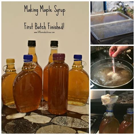 Maple Syrup Making Process